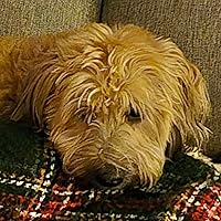 The Riders by Tim Winton | Goodreads