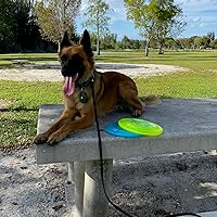The Power of Positive Dog Training by Pat Miller | Goodreads