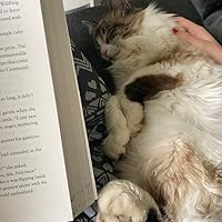 Breaking Hailey by I.A. Dice | Goodreads