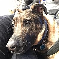 The Feminine Face of God: The Unfolding of the Sacred in Women by ...