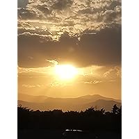 The Field by Lynne McTaggart | Goodreads