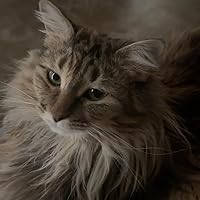 Calling All Creeps! (Goosebumps, #50) by R.L. Stine | Goodreads