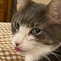 The Monster's Bones: The Discovery of T. Rex and How It Shook Our World ...