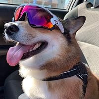 The Ghosts of Rome (Rome Escape Line, #2) by Joseph O'Connor | Goodreads