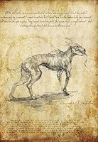 The Hound by H.P. Lovecraft — Reviews, Discussion, Bookclubs, Lists