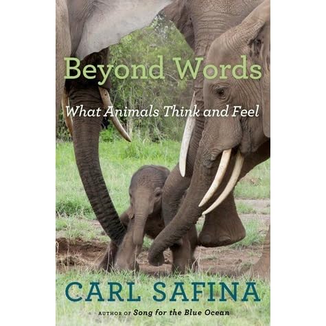 Beyond Words: What Animals Think and Feel by Carl Safina — Reviews ...