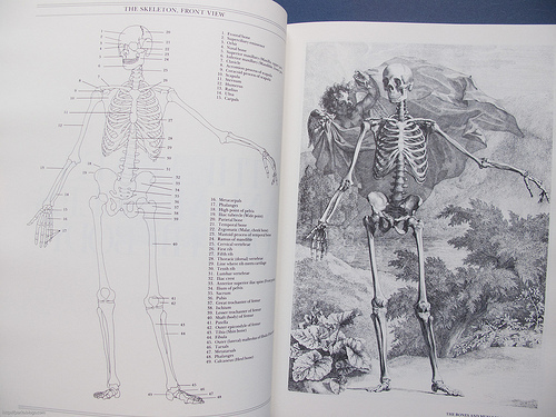 Robert Beverly Hale - Alchetron, The Free Social Encyclopedia