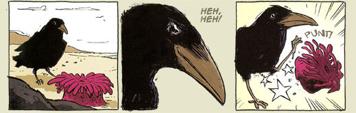 Trickster: Native American Tales, A Graphic Collection by Matt Dembicki ...