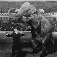 Hiding the Elephant: How Magicians Invented the Impossible and Learned ...
