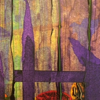 Mark Haddon (Author of The Curious Incident of the Dog in the Night-Time)